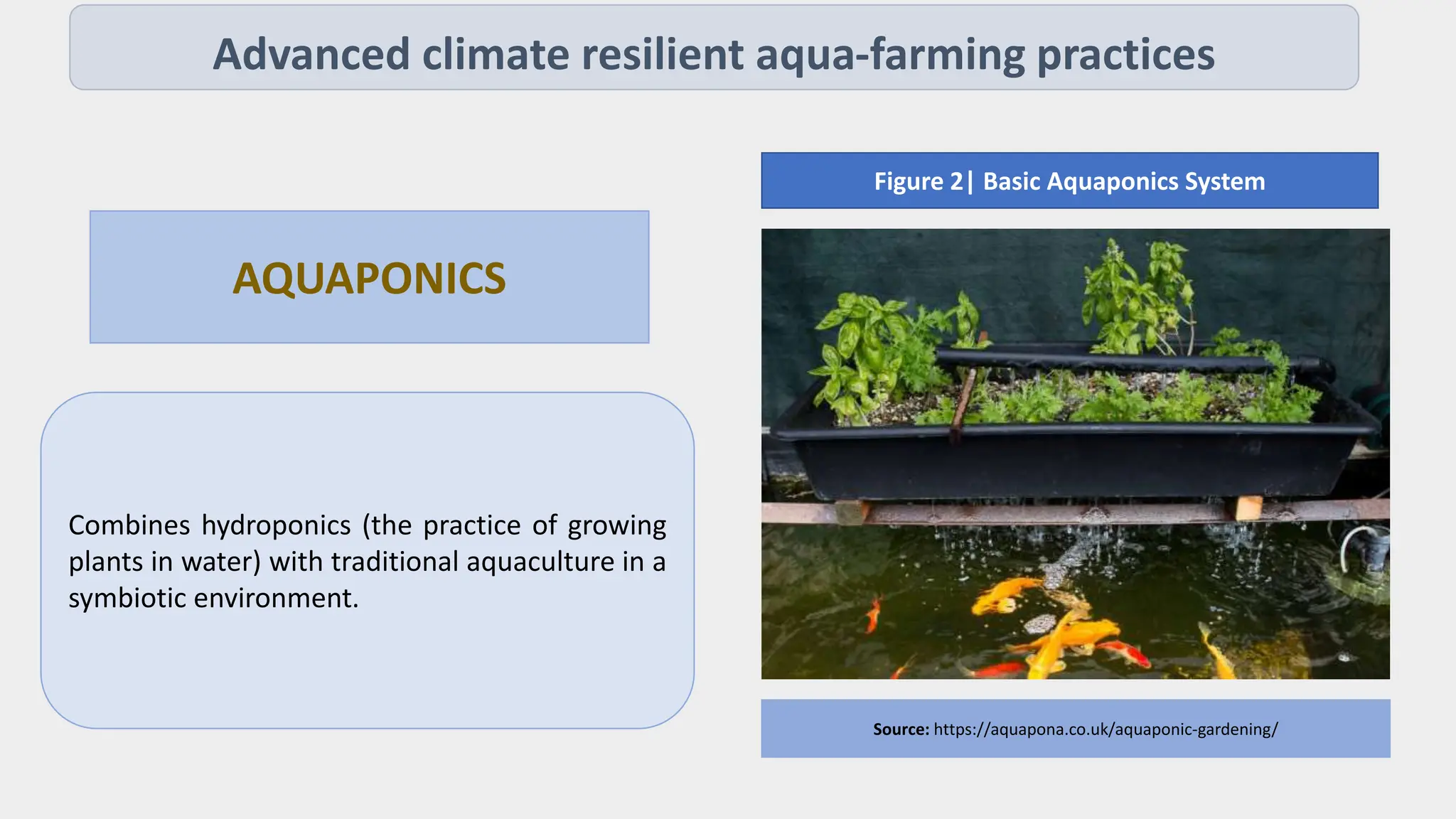 Climate Resilient Aquaculture Practices | PPTX