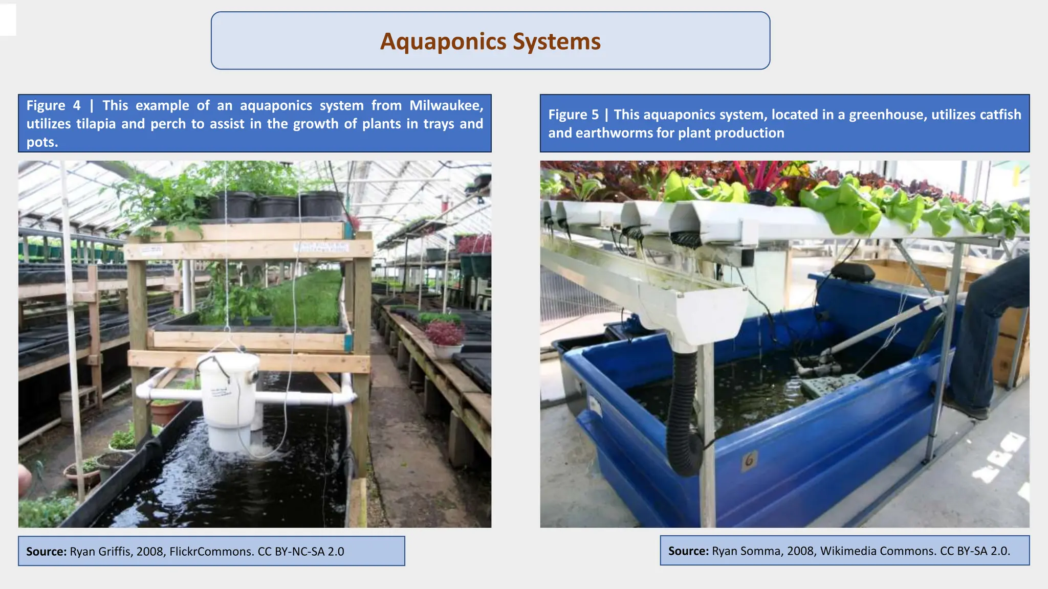 Climate Resilient Aquaculture Practices | PPTX