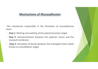 MUCOADHESIVE DRUG DELIVERY System PPT JADAVPUR UNIVERSITY | PDF