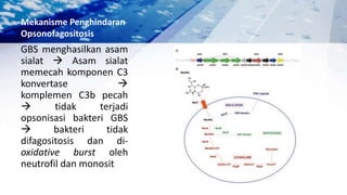 Streptococcus agalactiae and neonates.pptx