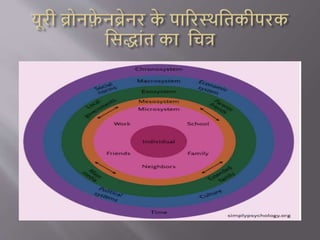 bronfenbrenner ecological theory | PPTX