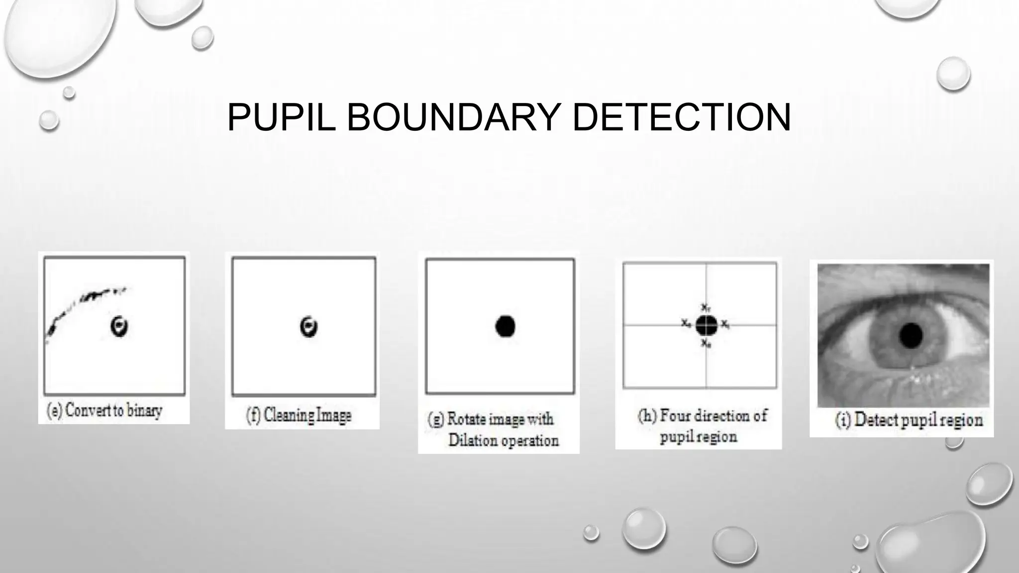 Effective Biometric System With Using Of Iris Detection Pptx