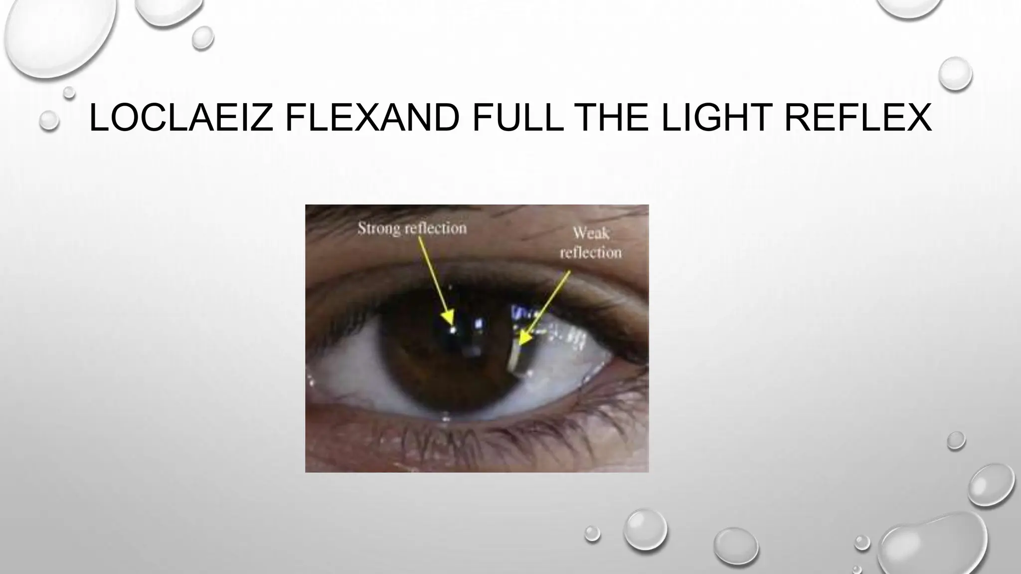 Effective Biometric System With Using Of Iris Detectionpptx