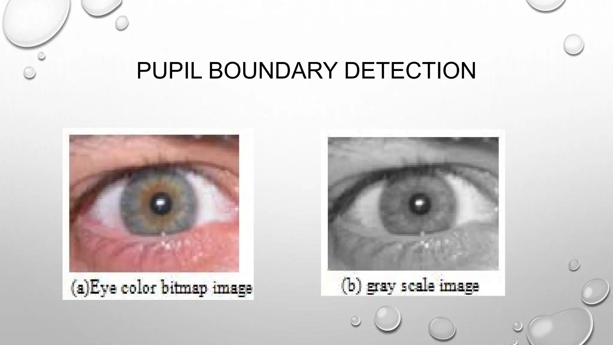 Effective Biometric System With Using Of Iris Detectionpptx