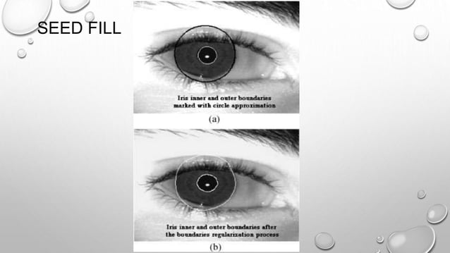 Effective Biometric system with using of iris detection.pptx