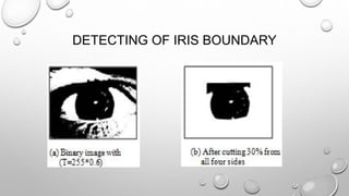 Effective Biometric system with using of iris detection.pptx