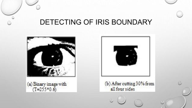 Effective Biometric System With Using Of Iris Detectionpptx