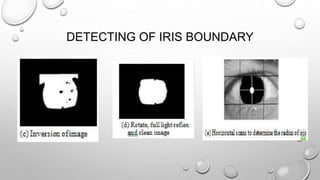 Effective Biometric system with using of iris detection.pptx | Free ...