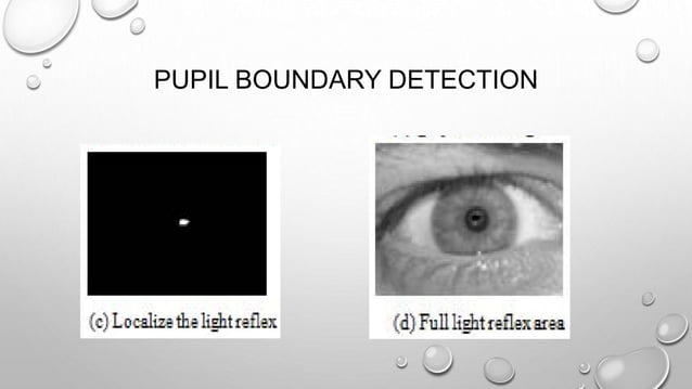 Effective Biometric system with using of iris detection.pptx