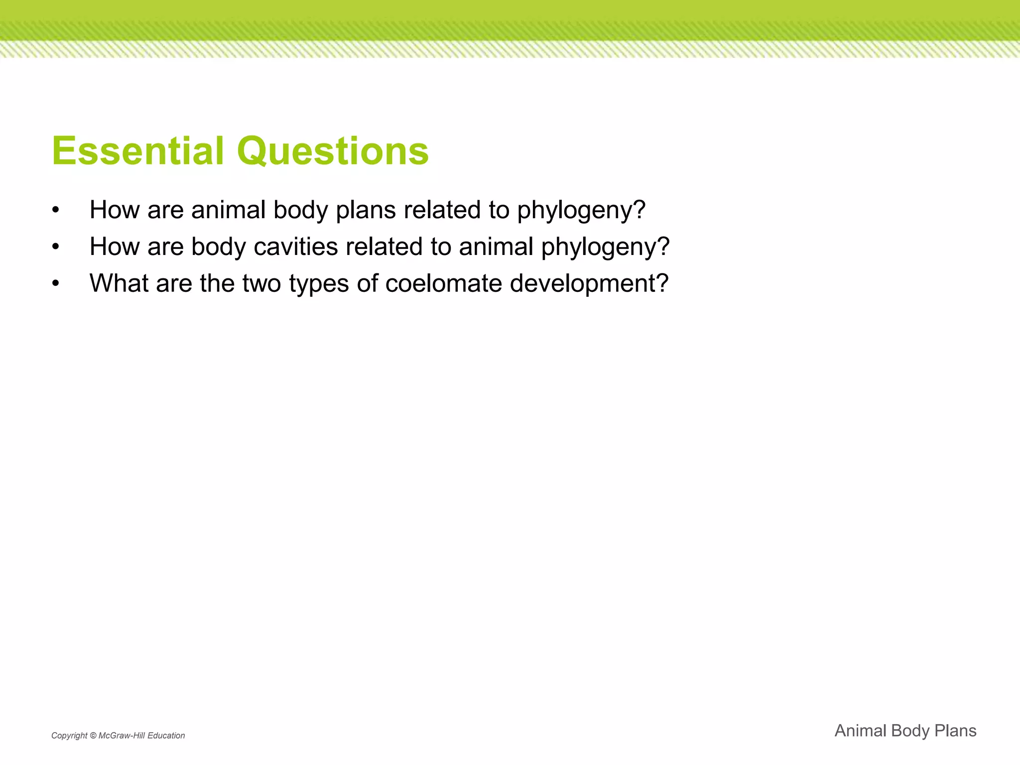 PPT-24.2-Body_Plans.pptx | Digestive Disorders | Diseases and Conditions