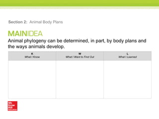 PPT-24.2-Body_Plans.pptx