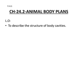 PPT-24.2-Body_Plans.pptx
