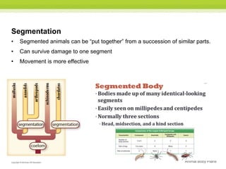 PPT-24.2-Body_Plans.pptx