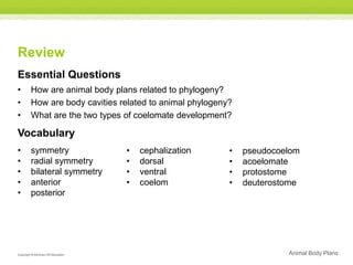 PPT-24.2-Body_Plans.pptx