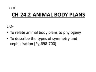 PPT-24.2-Body_Plans.pptx | Digestive Disorders | Diseases and Conditions