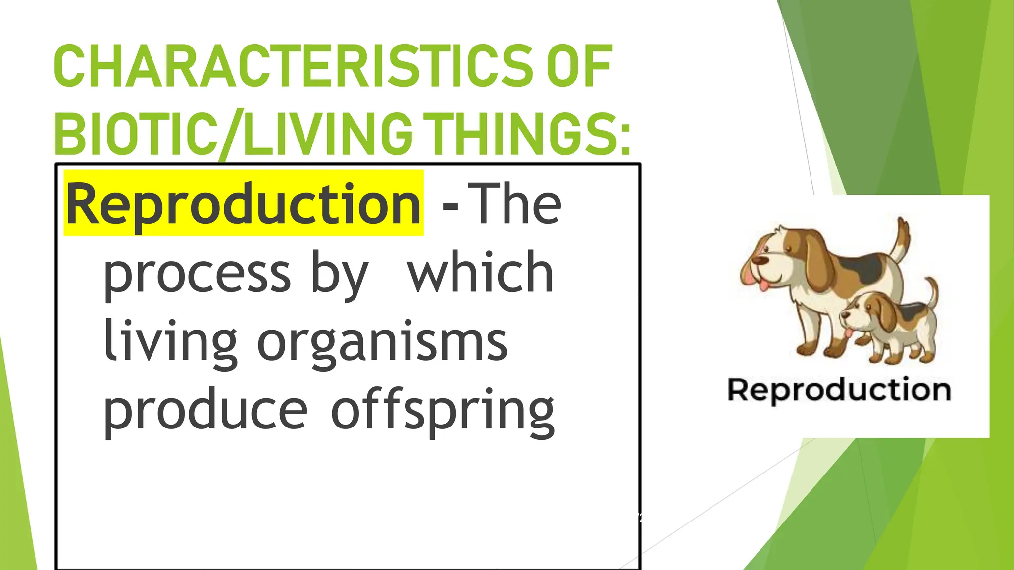 Biotic and Abiotic Factors in the EcosystemPPT.pptx