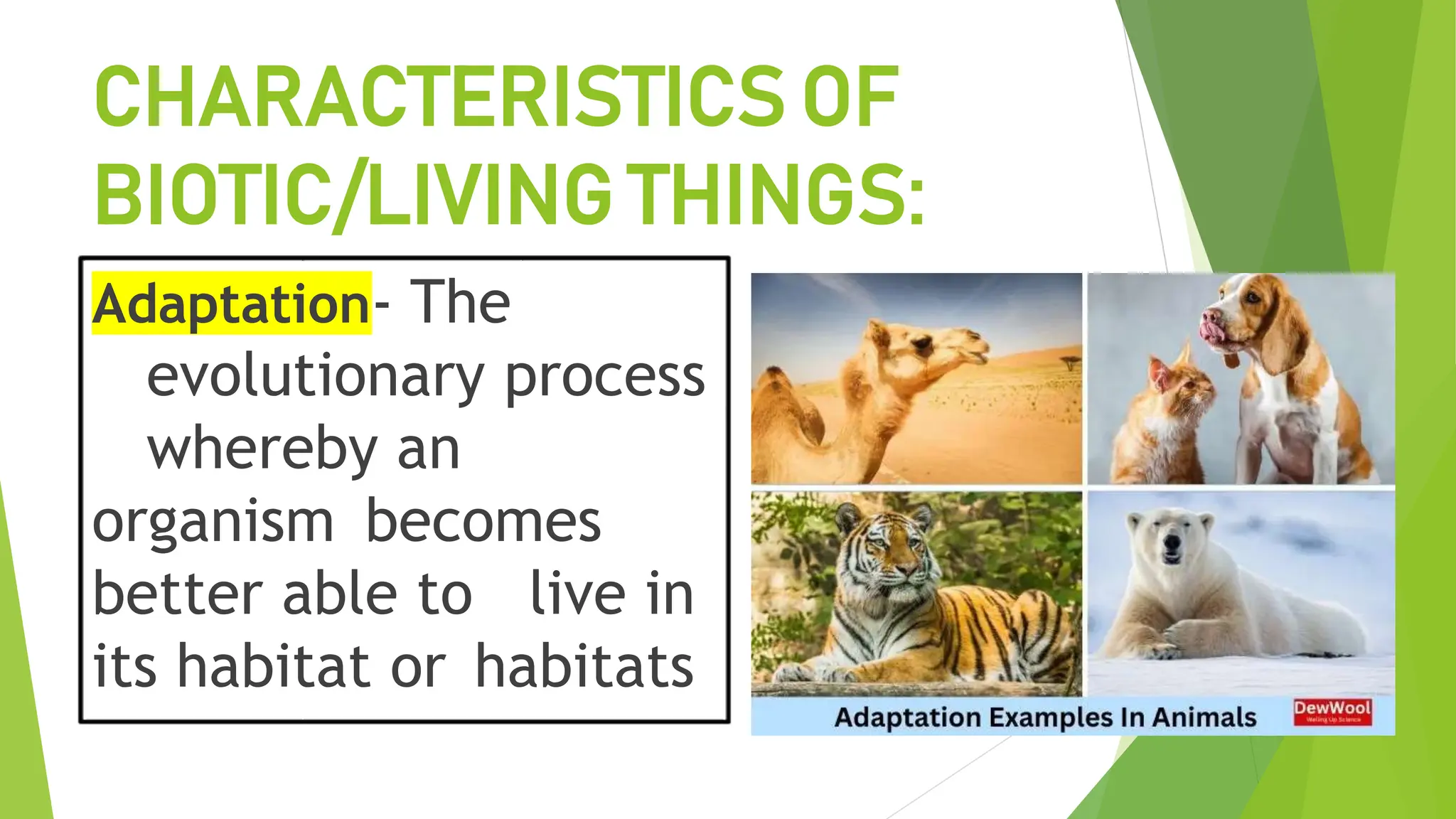 Biotic and Abiotic Factors in the EcosystemPPT.pptx