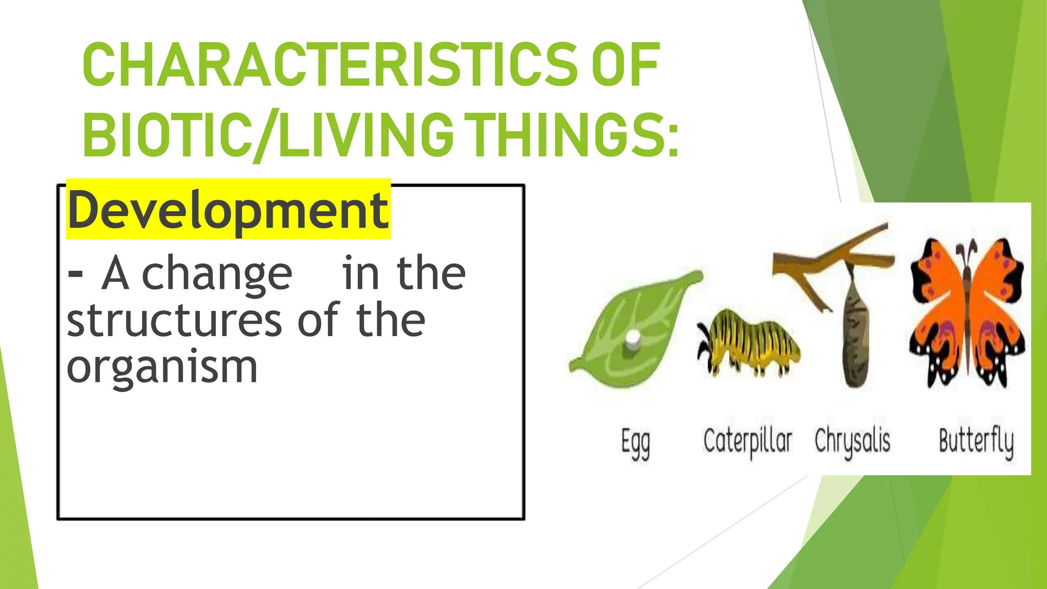 Biotic and Abiotic Factors in the EcosystemPPT.pptx