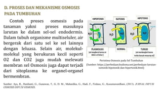 ppt fistummmmmmmmmmmmmmmmmmmmmmmmmmmm.pptx