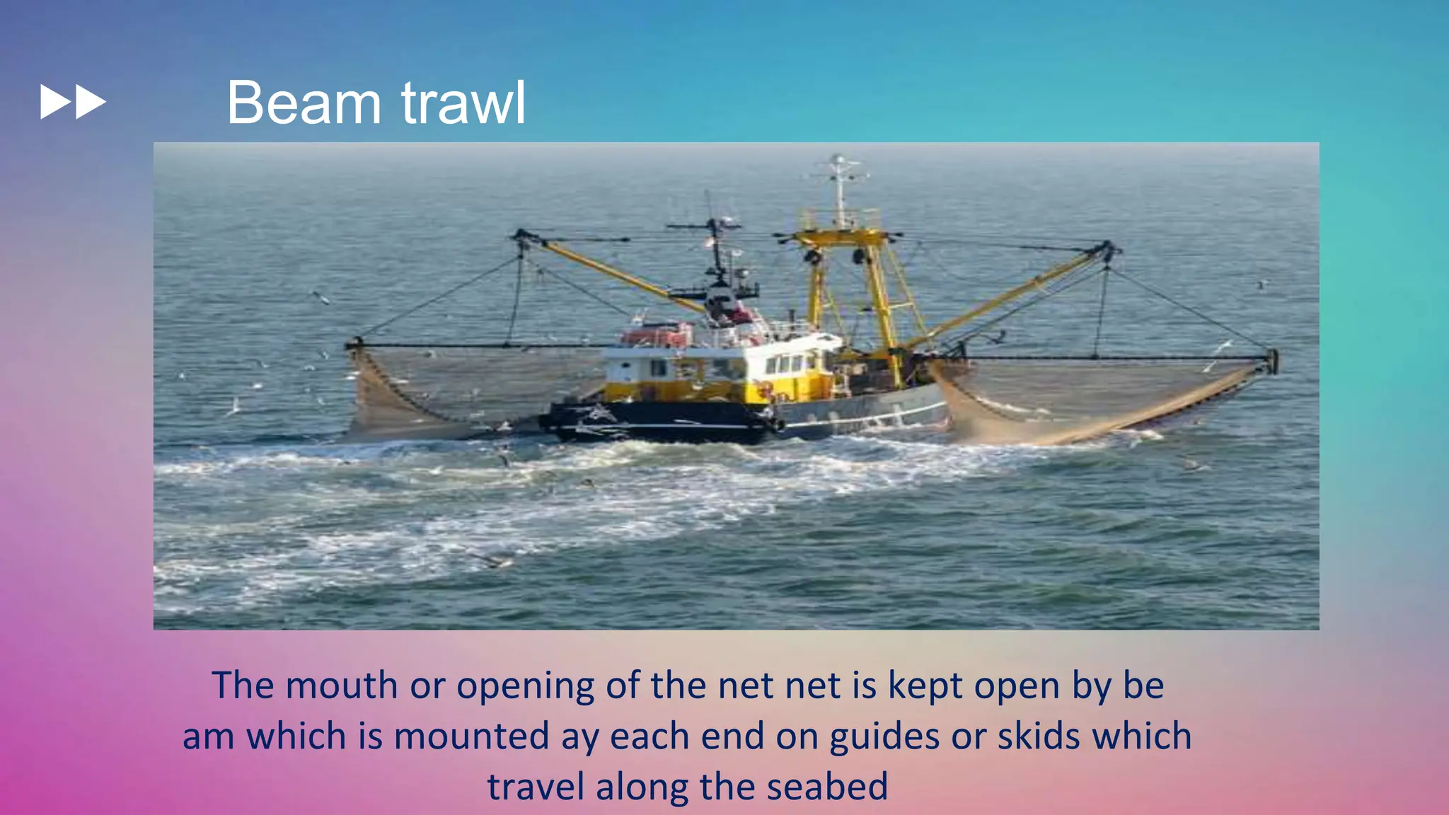 PowerPoint Presentation for Fish Capture | PPTX