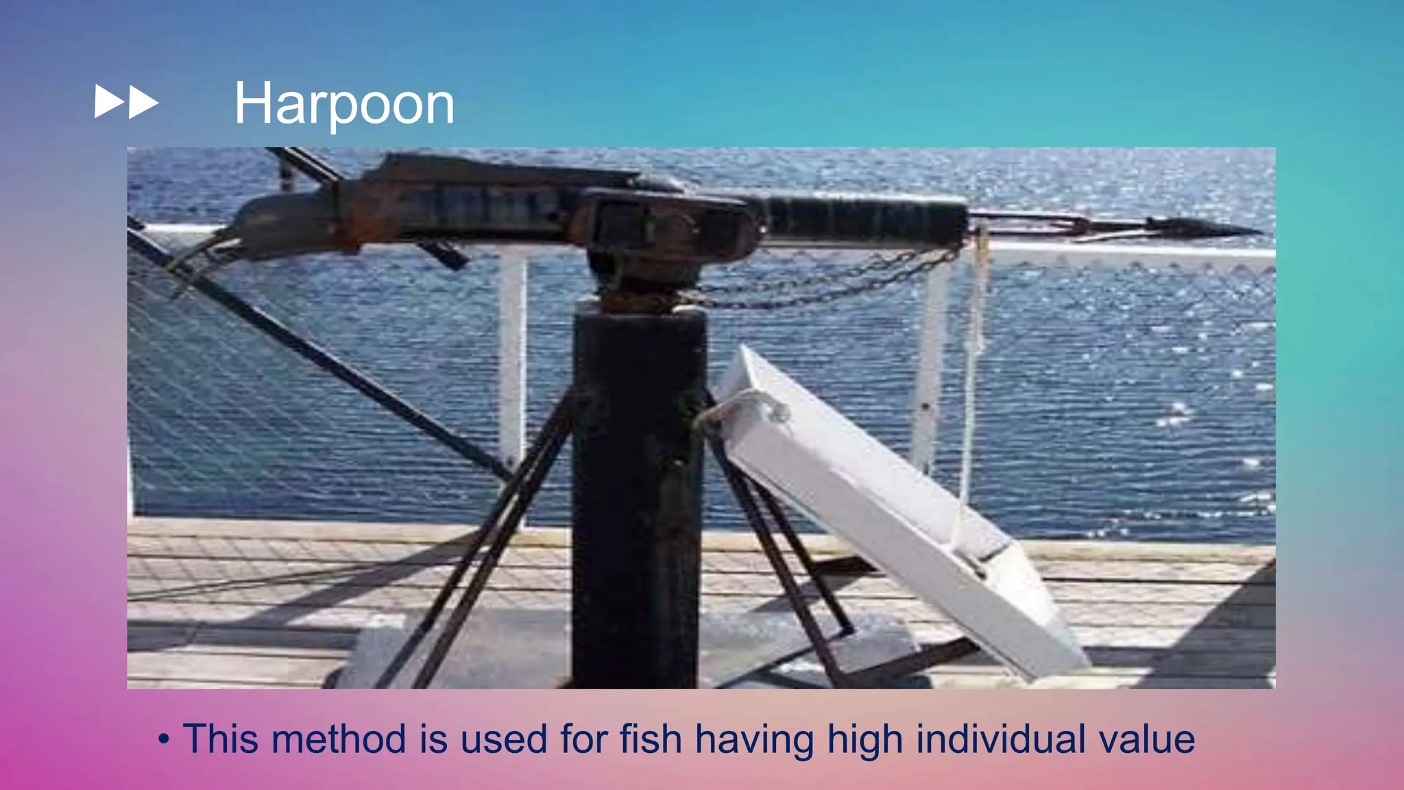 PowerPoint Presentation for Fish Capture | PPTX