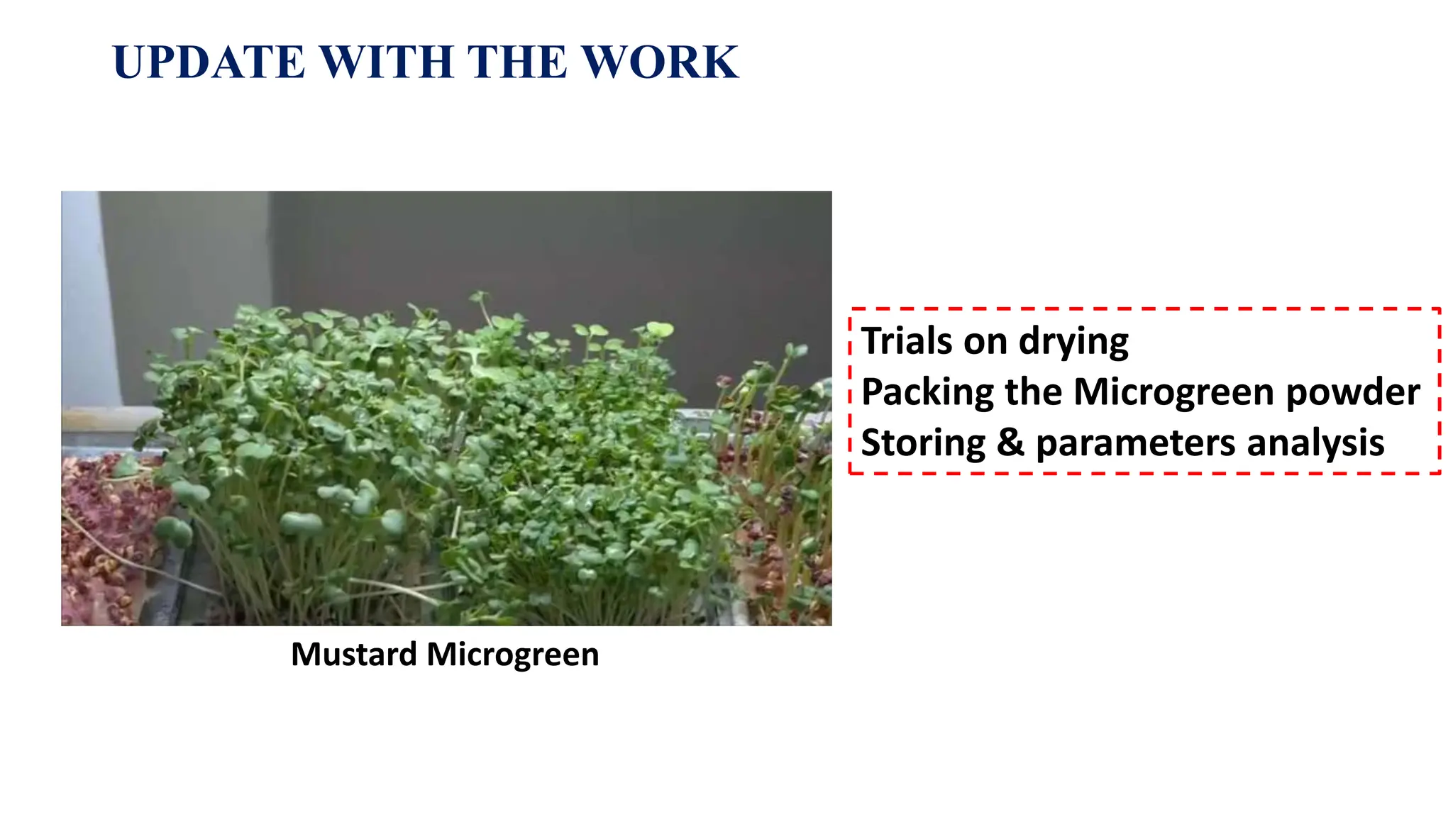 research project power point bbbbbbbbbbbb | PPT