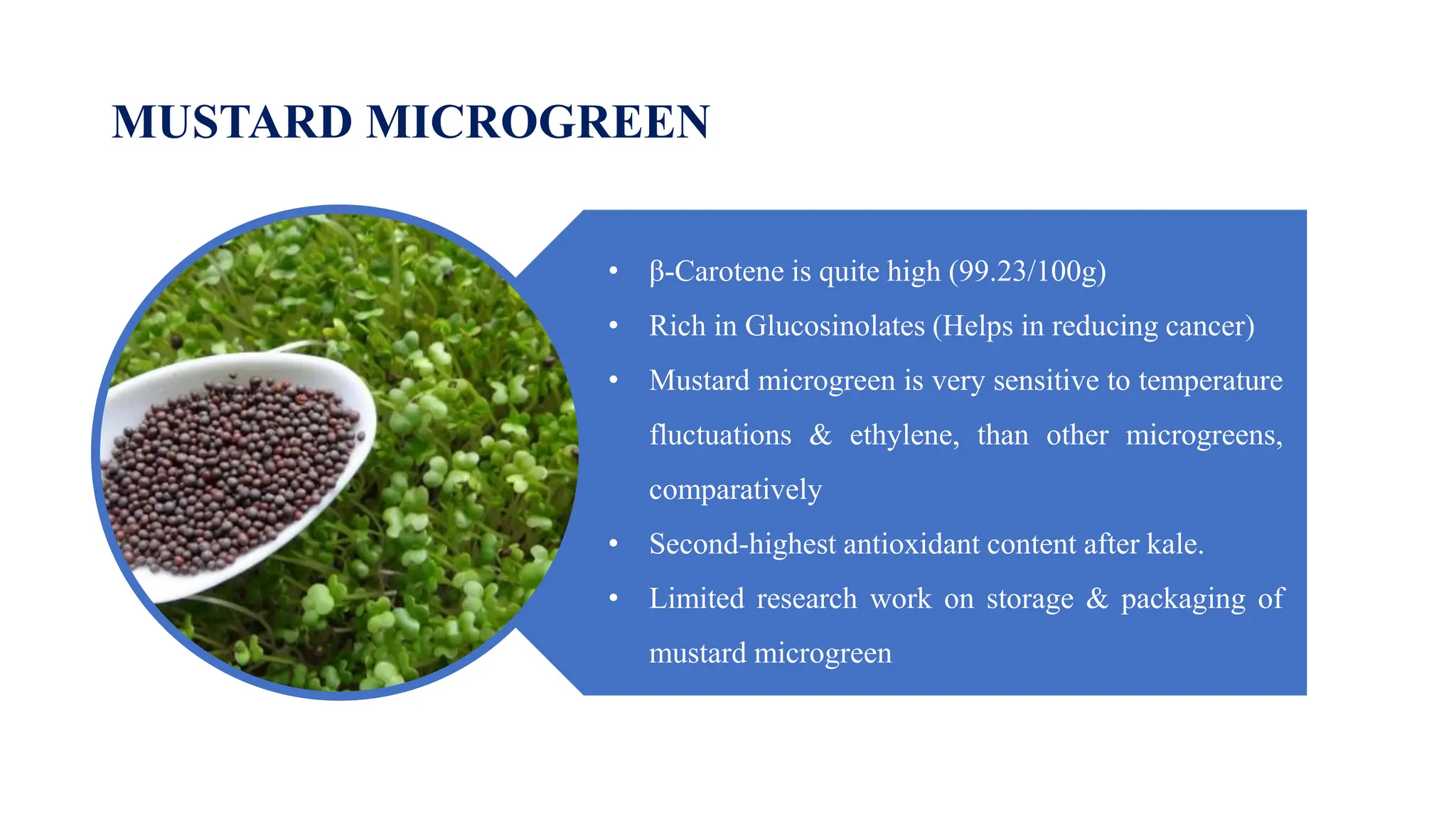 research project power point bbbbbbbbbbbb | PPT