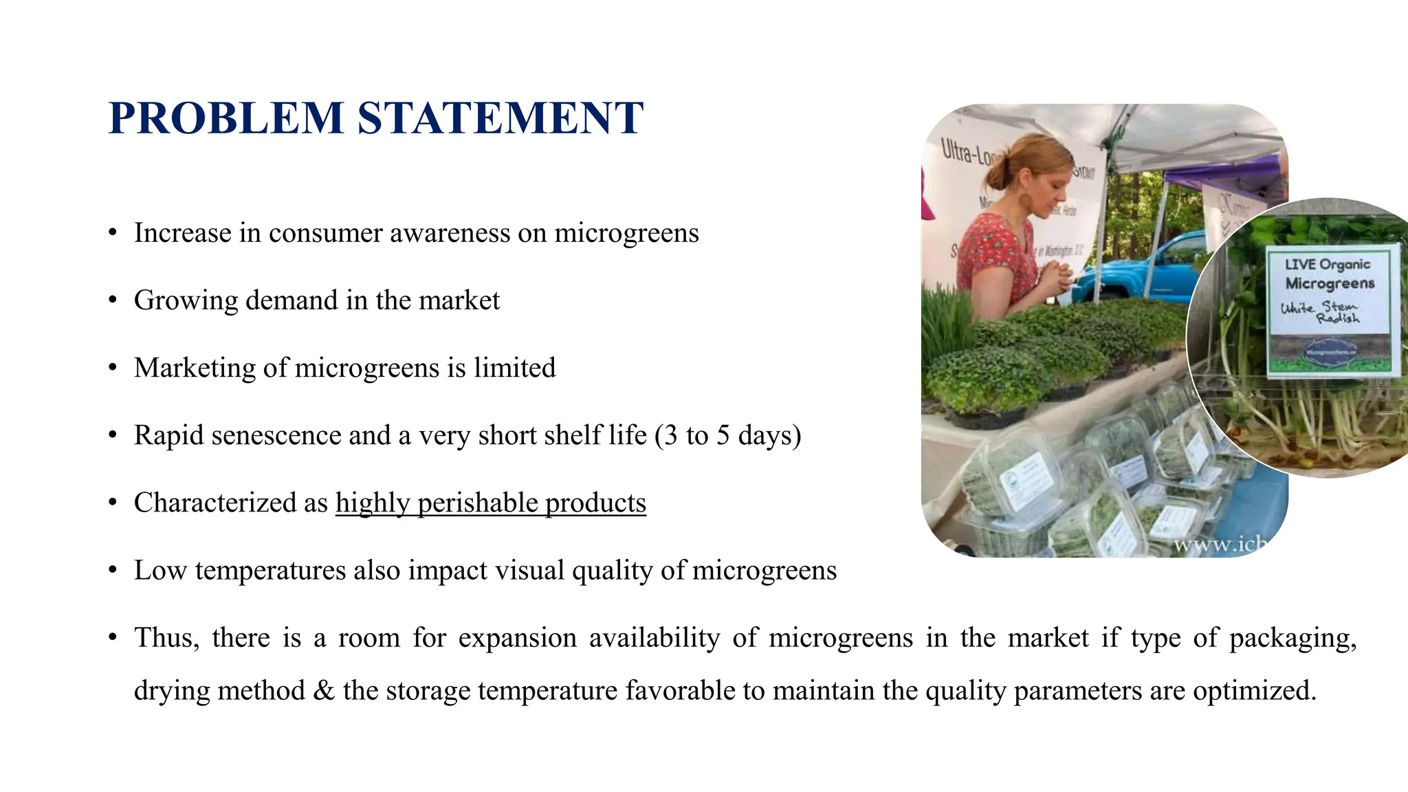 research project power point bbbbbbbbbbbb | PPT