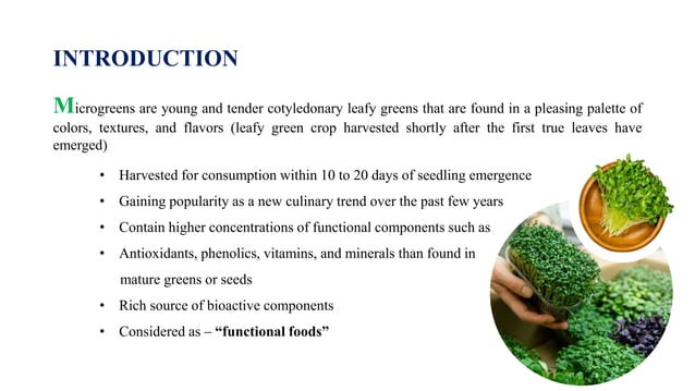 research project power point bbbbbbbbbbbb | PPT