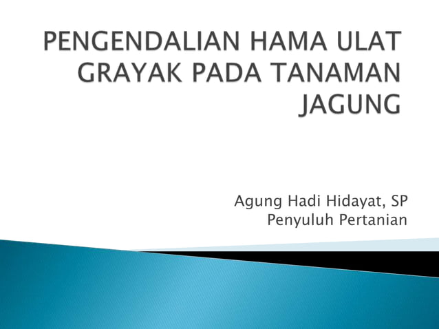 ppt Pengendalian Hama Grayak Pada jagung | PPTX
