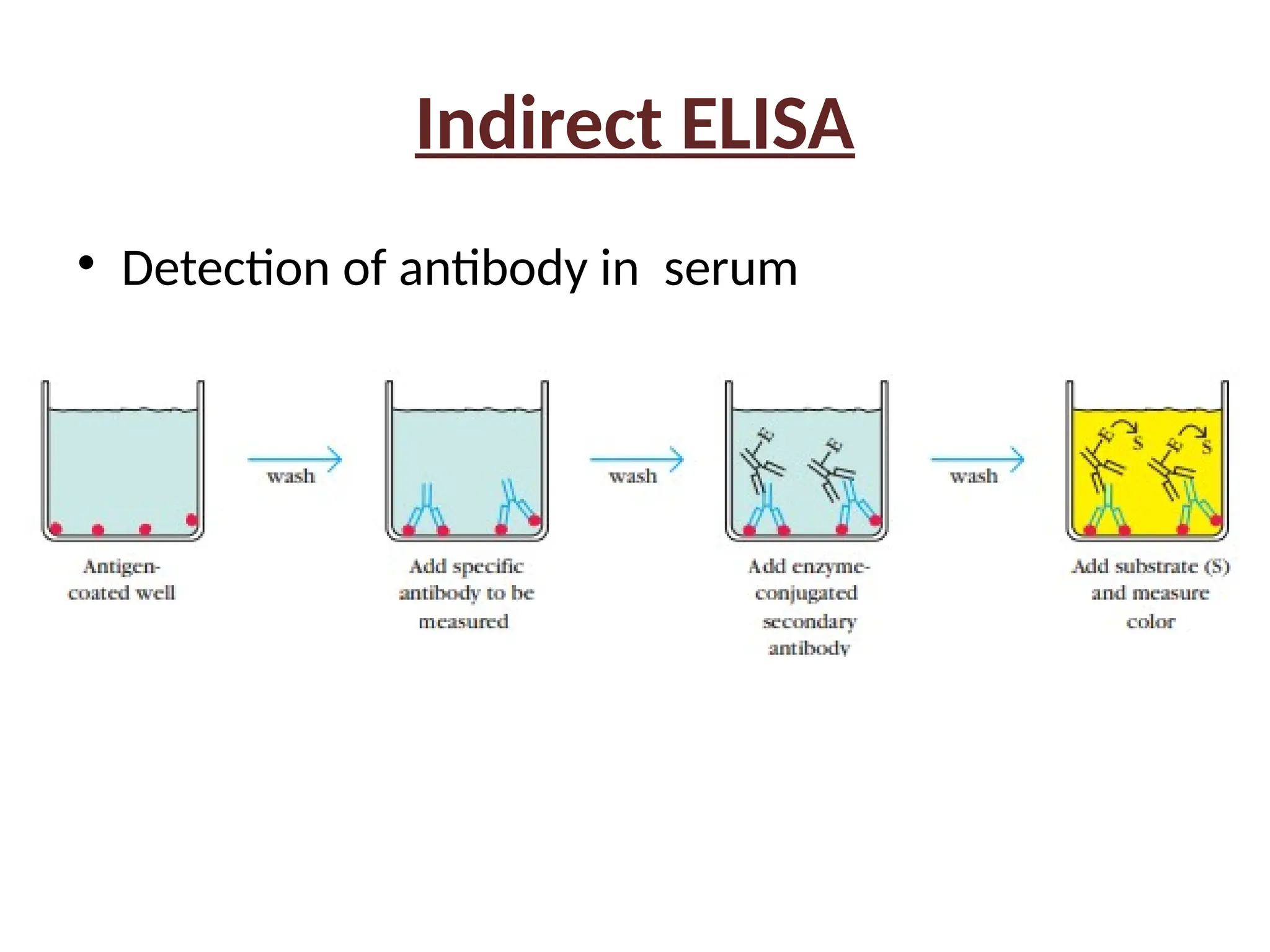 Presentation on ELISA - Principle,Types.pptx