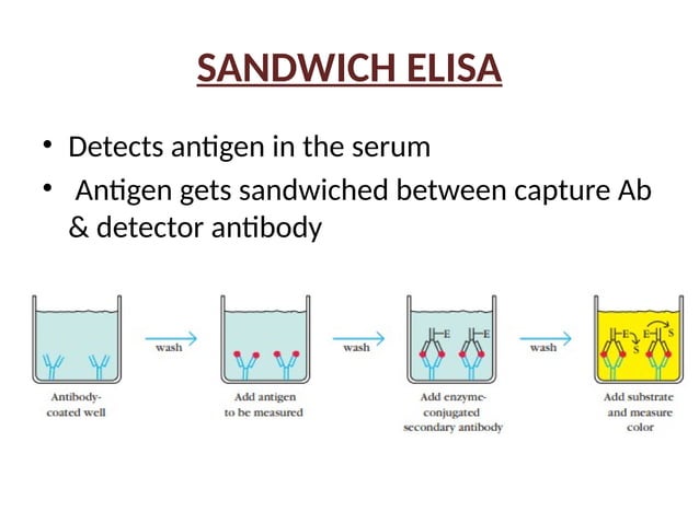 Presentation on ELISA - Principle,Types.pptx