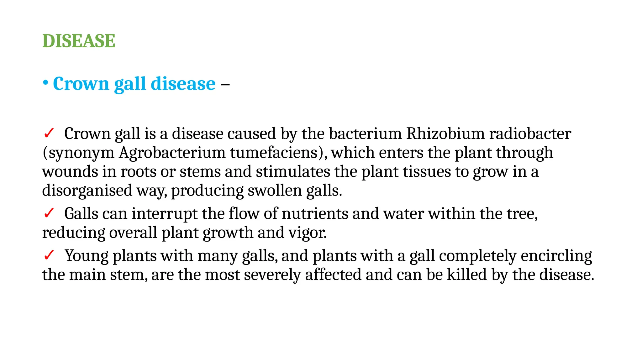 Agrobacterium tumefaciens : Crown gall disease, Transmission ...