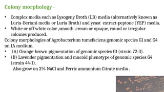 Agrobacterium tumefaciens : Crown gall disease, Transmission ...