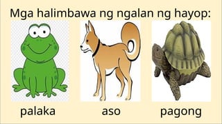 PPT. Pangngalan.pptx Tumutukoy sa ngalan ng tao, bagay, hayop, lugar at ...
