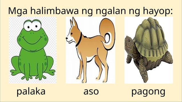 PPT. Pangngalan.pptx Tumutukoy sa ngalan ng tao, bagay, hayop, lugar at ...