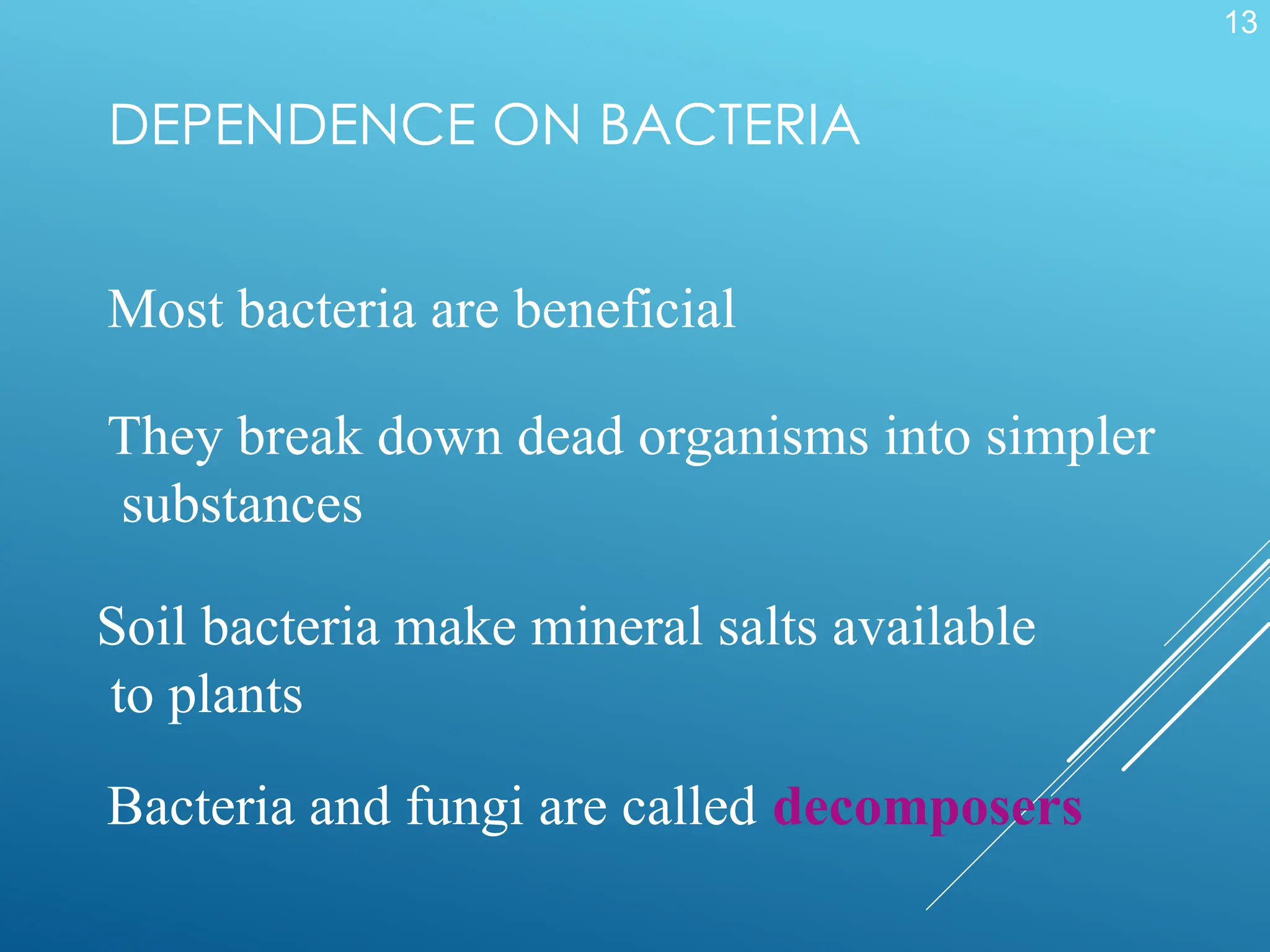 Interdependence in nature with animals plants.ppt