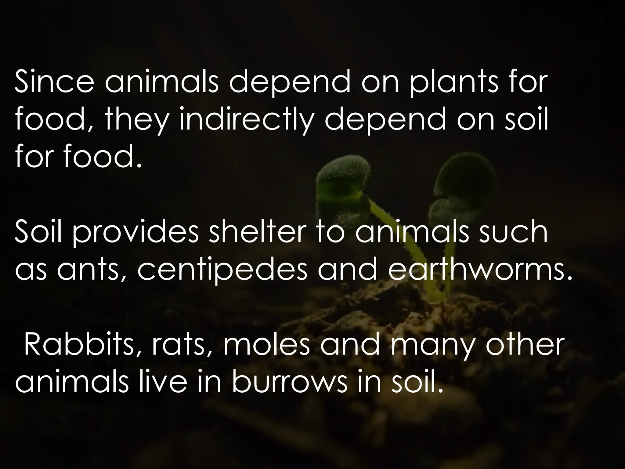 Interdependence in nature with animals plants.ppt