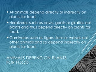 Interdependence in nature with animals plants.ppt