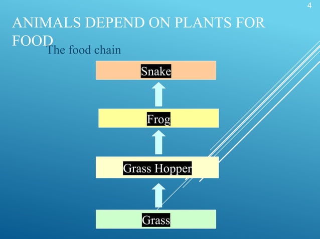 Interdependence in nature with animals plants.ppt