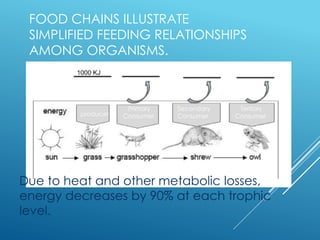 Interdependence in nature with animals plants.ppt