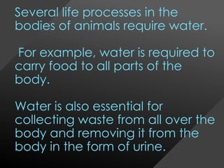 Interdependence in nature with animals plants.ppt