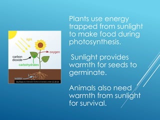 Interdependence in nature with animals plants.ppt