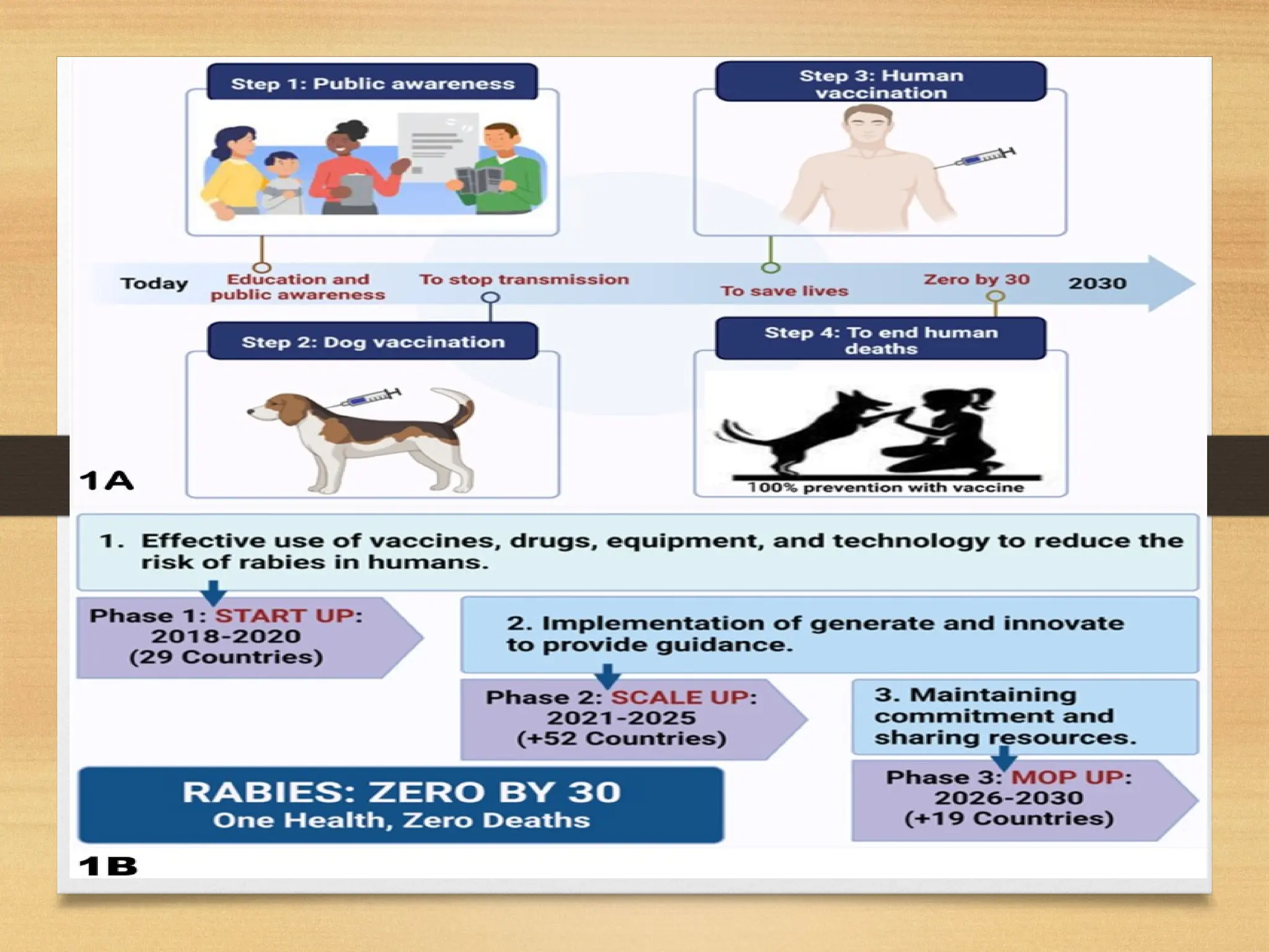 Rabies and its eradication in Bangladesh | PPTX