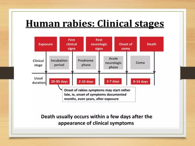 Rabies and its eradication in Bangladesh | PPTX