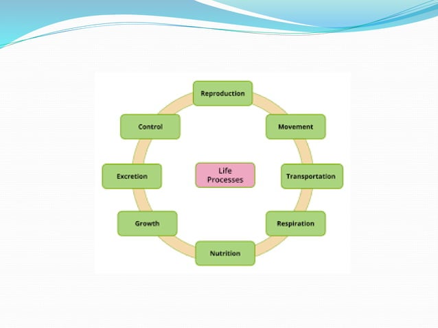 B pharm 1st sem Human Anatomy and Physiology unit 1.ppt | Endocrine and ...
