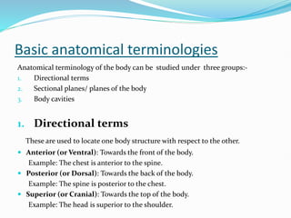 B pharm 1st sem Human Anatomy and Physiology unit 1.ppt