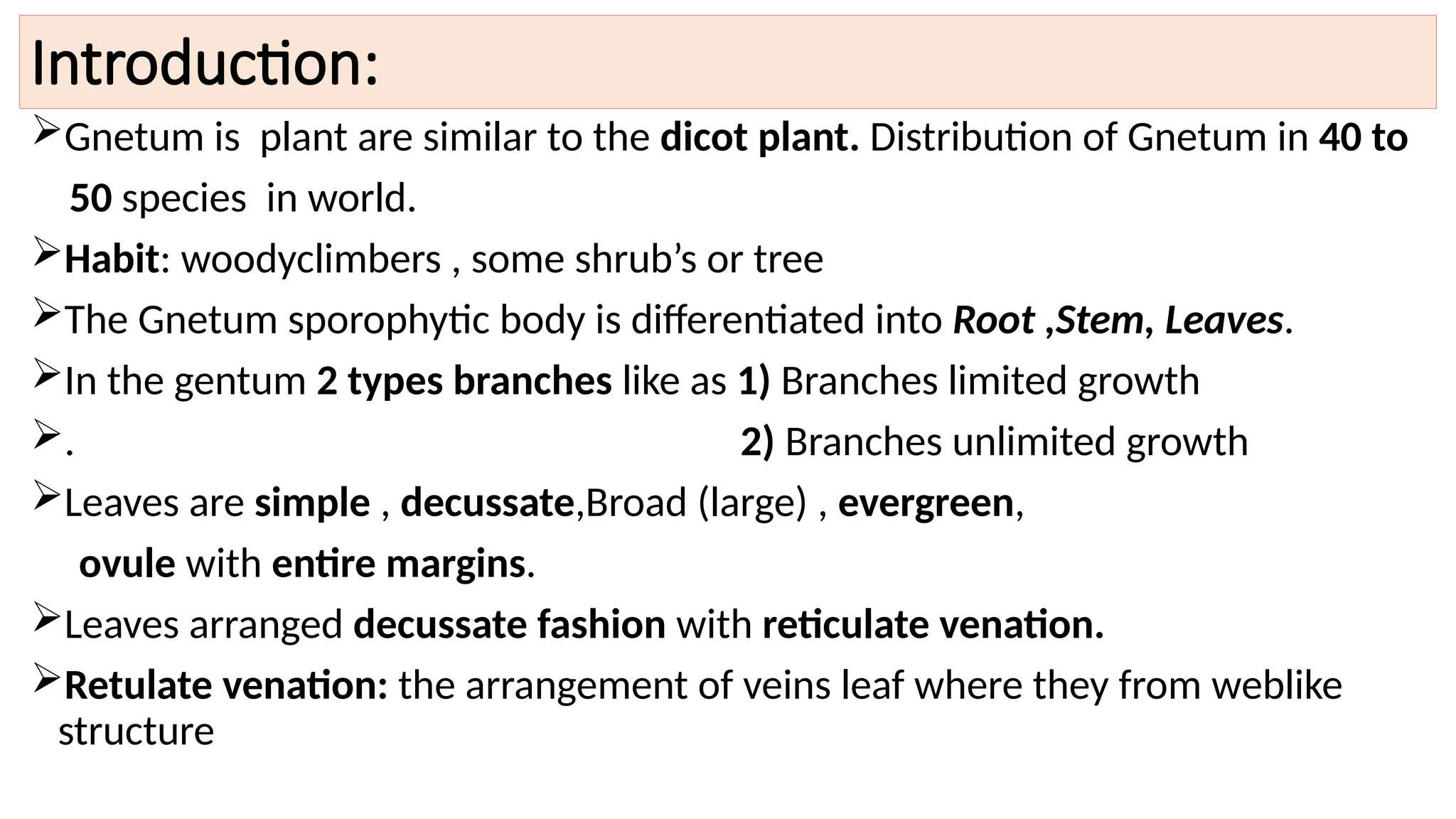 Morphology anatomy and reproduction in Gnetum | PPTX