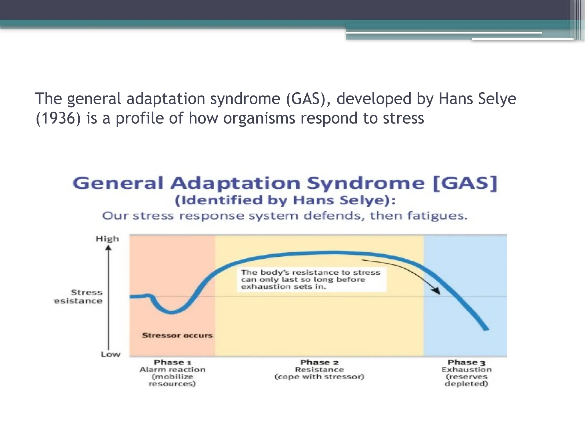 Stress management model and explanation.pptx