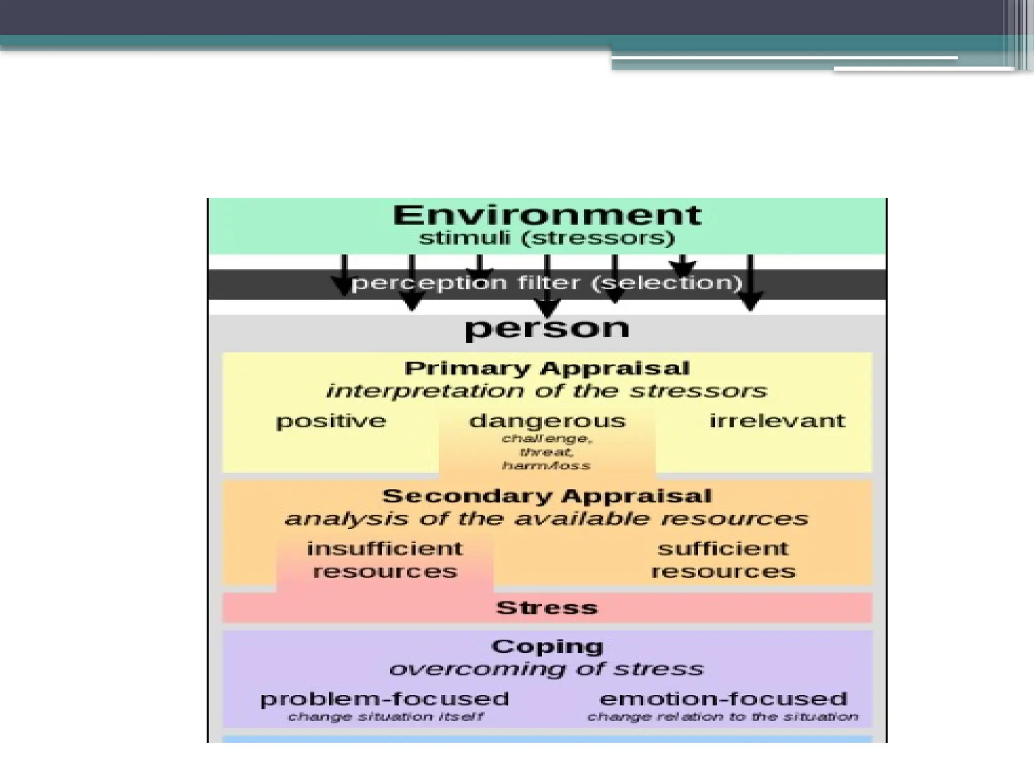 Stress management model and explanation.pptx